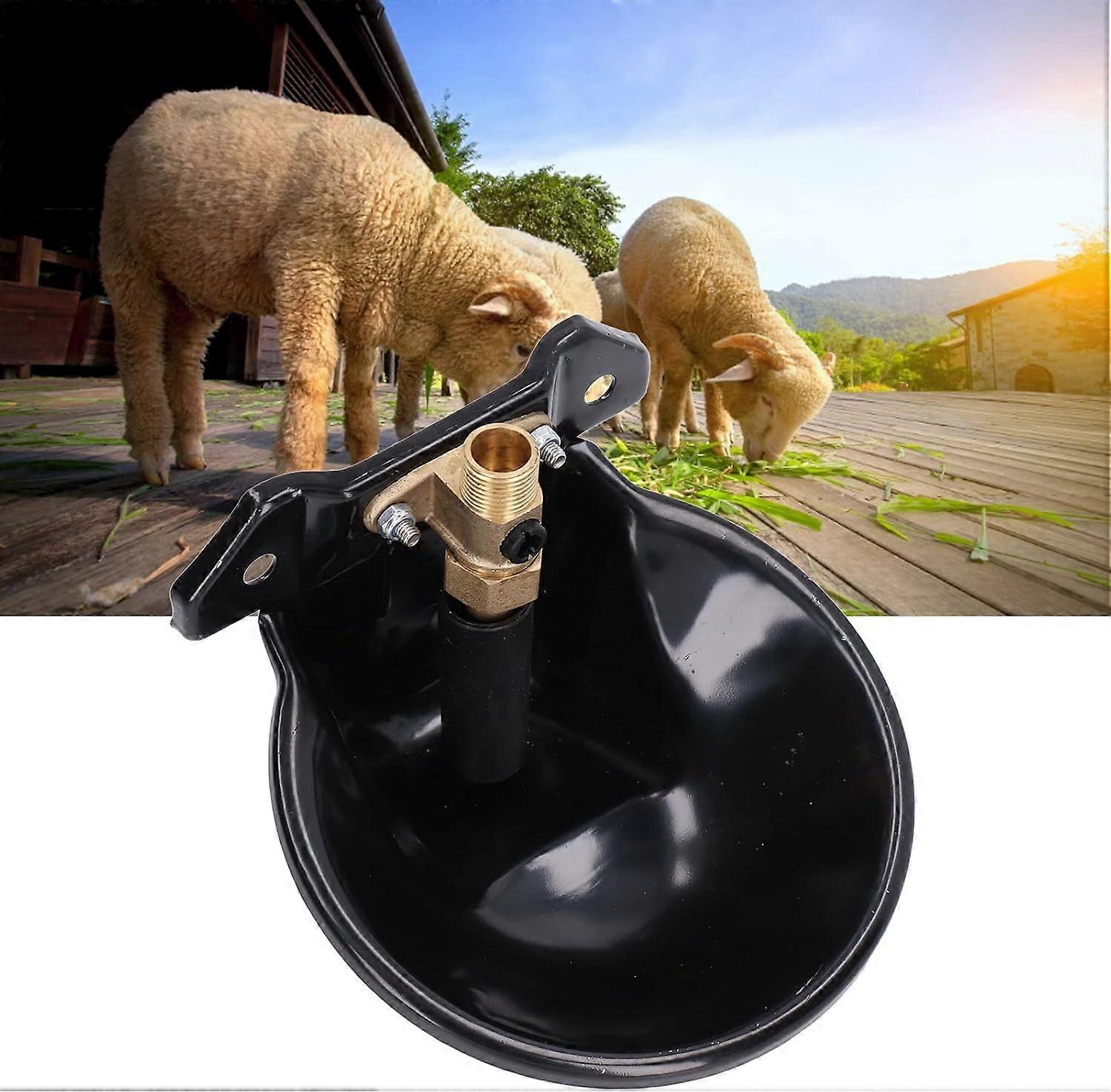 Goat Waterer Automatic With Copper Valve, Sheep Water Trough, Drinking ...