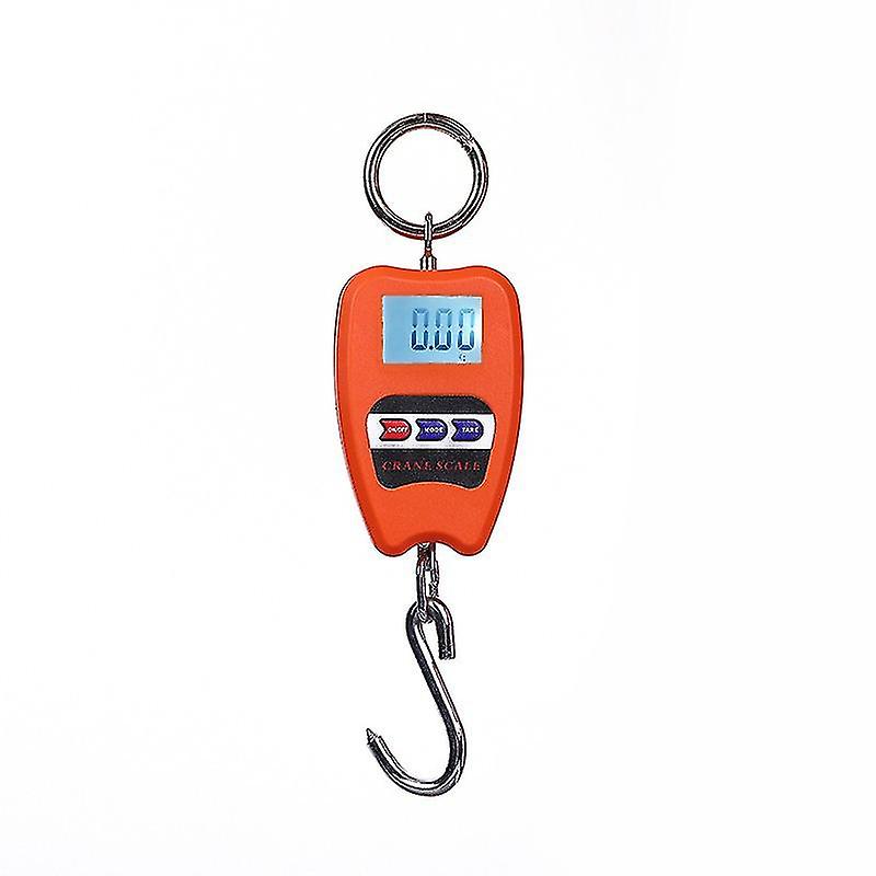 200 Kg Professional Industrial Digital Scale, Dynamometer Hook Spring ...