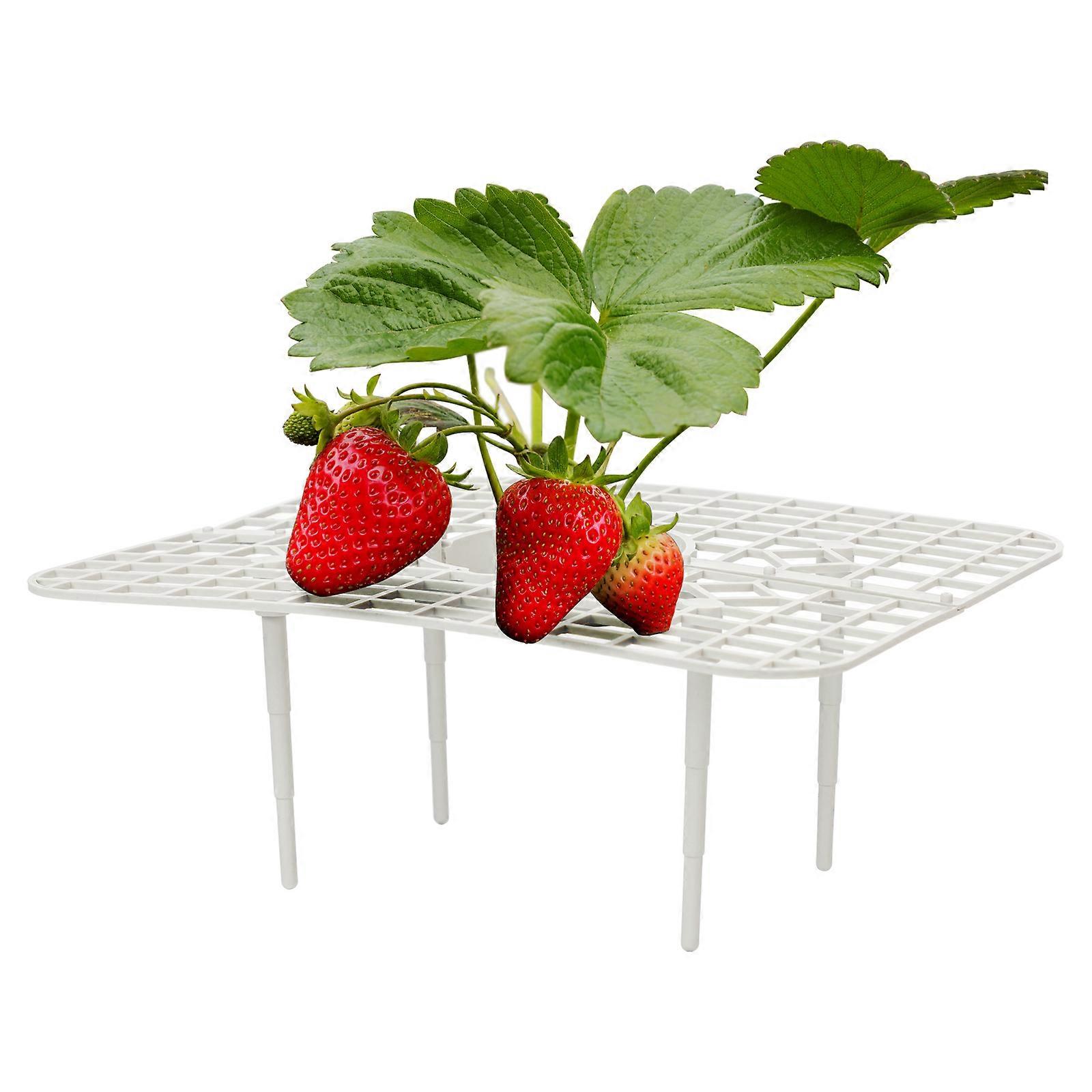 Strawberry Bracket Planting Rack Potted Trough Rack Home Gardening ...