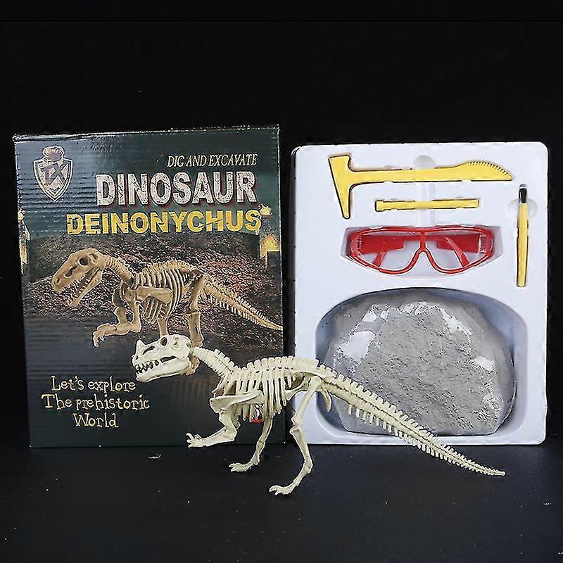 Fossils And Dinosaur Bones Dig Kit For Kidsdig Up Dinosaurs Skeleton ...
