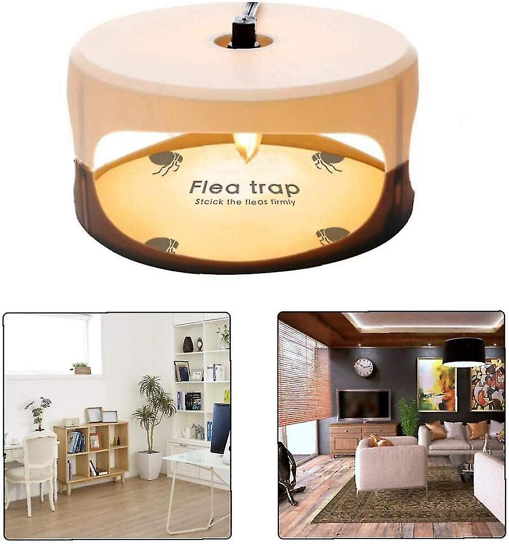 Lamp Flea Fly Trap Killer Round Simple Installation Glue Discs Best ...
