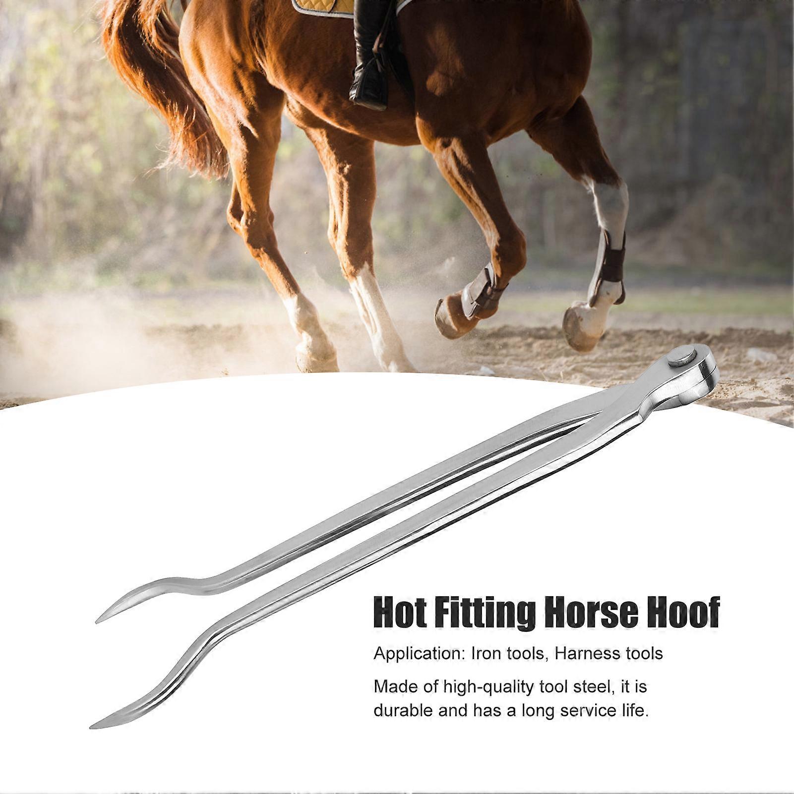 SIRIUSTIMES Hot Fitting Horse Hoof Veterinary Instruments Heavy Steel ...
