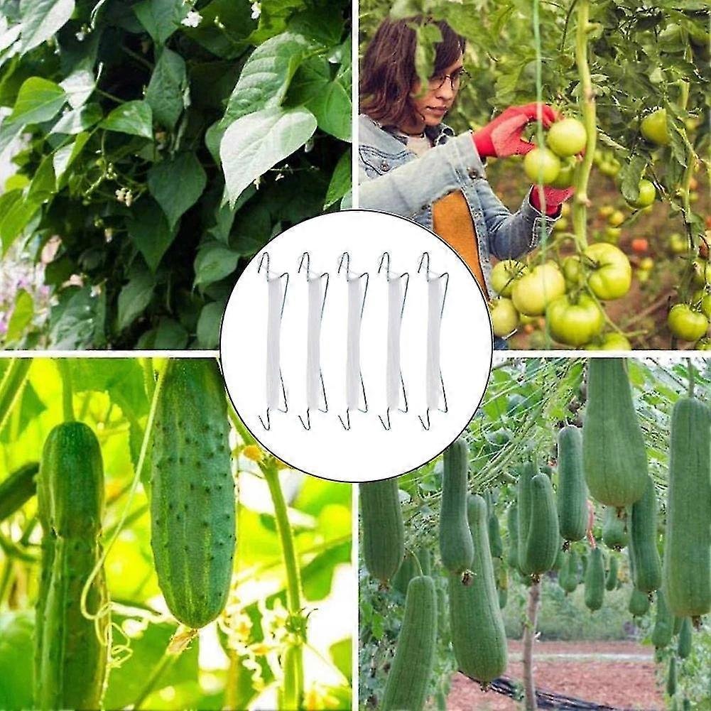 Plant Climbing Hooks Tomato Support Hook Flexible Fruit Cherry Twine On ...