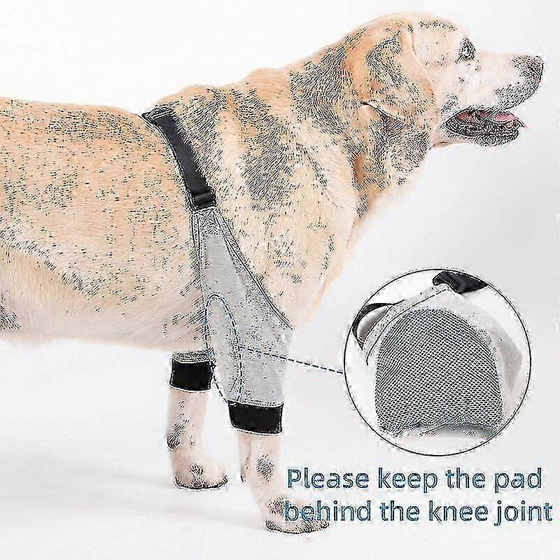 Dog Elbow Pads Adjustable Front Leg Covers Pet Surgery Injury Recovery ...