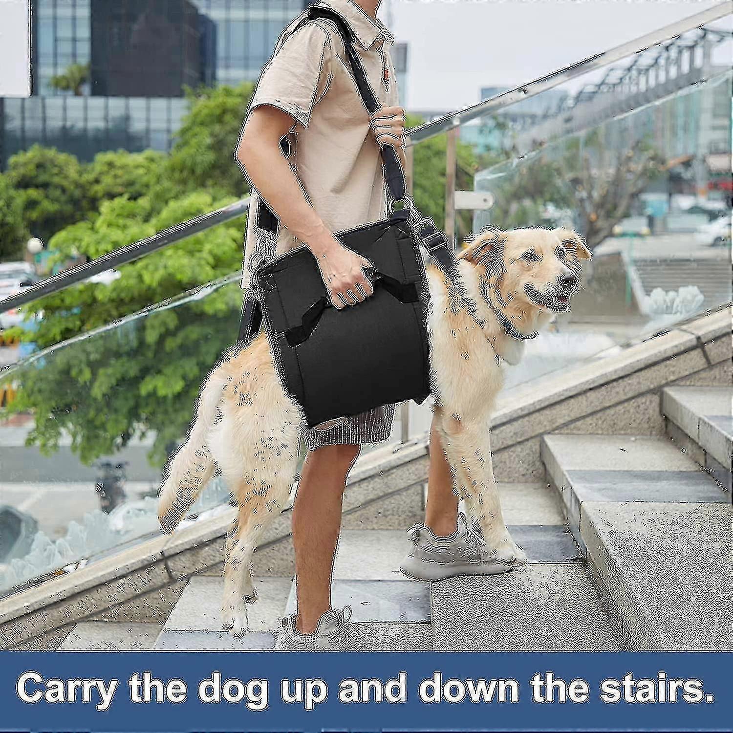 Dog Rescue Sling for Emergency Pet Carry & Leg Support - Black Harness ...