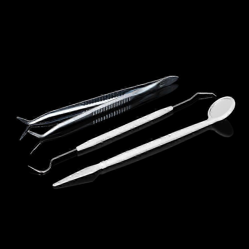 3pcs Stainless Steel Dental Tools Kit Double Head Dental Tool Teeth ...