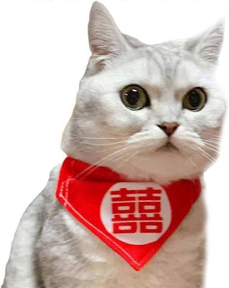 10 Pcs Cat Dog Collar Bells Pet Bell for Cat Collar Dog Collar ...