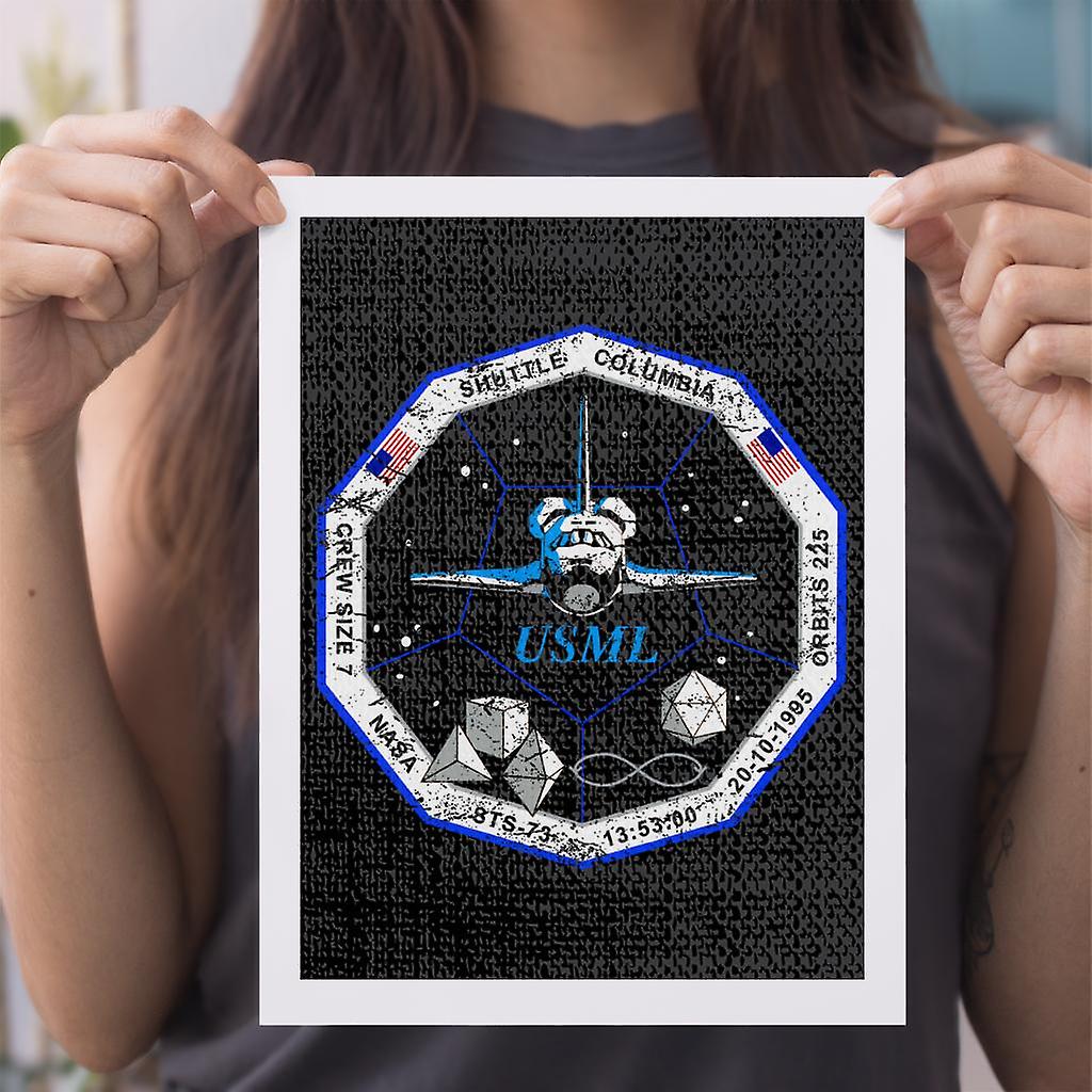 NASA STS 73 Columbia Mission Badge Distressed A4 Print | Fruugo UK
