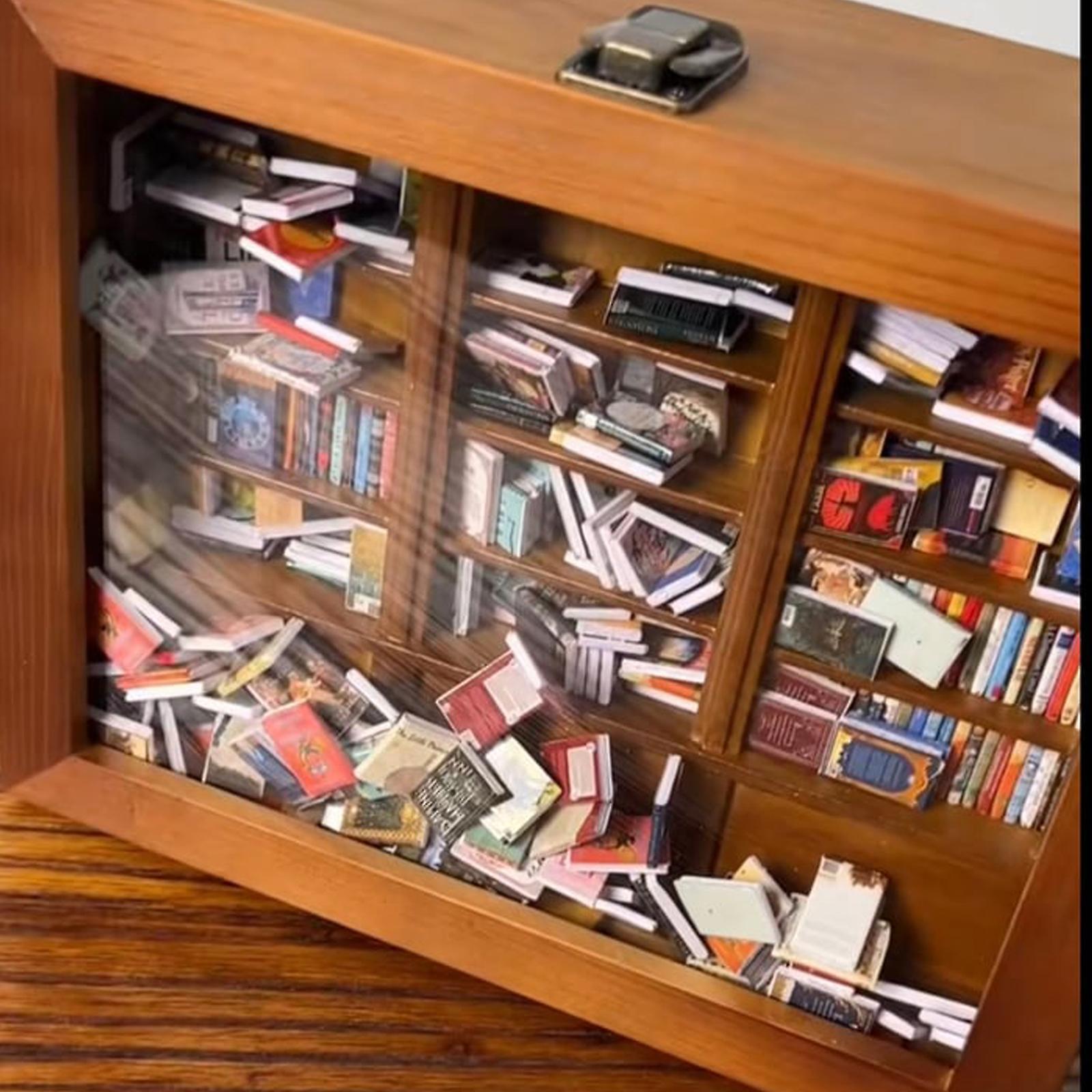 Anxiety Bookshelf | Shake Away Your Anxiety, Stress Reliever, Miniature ...