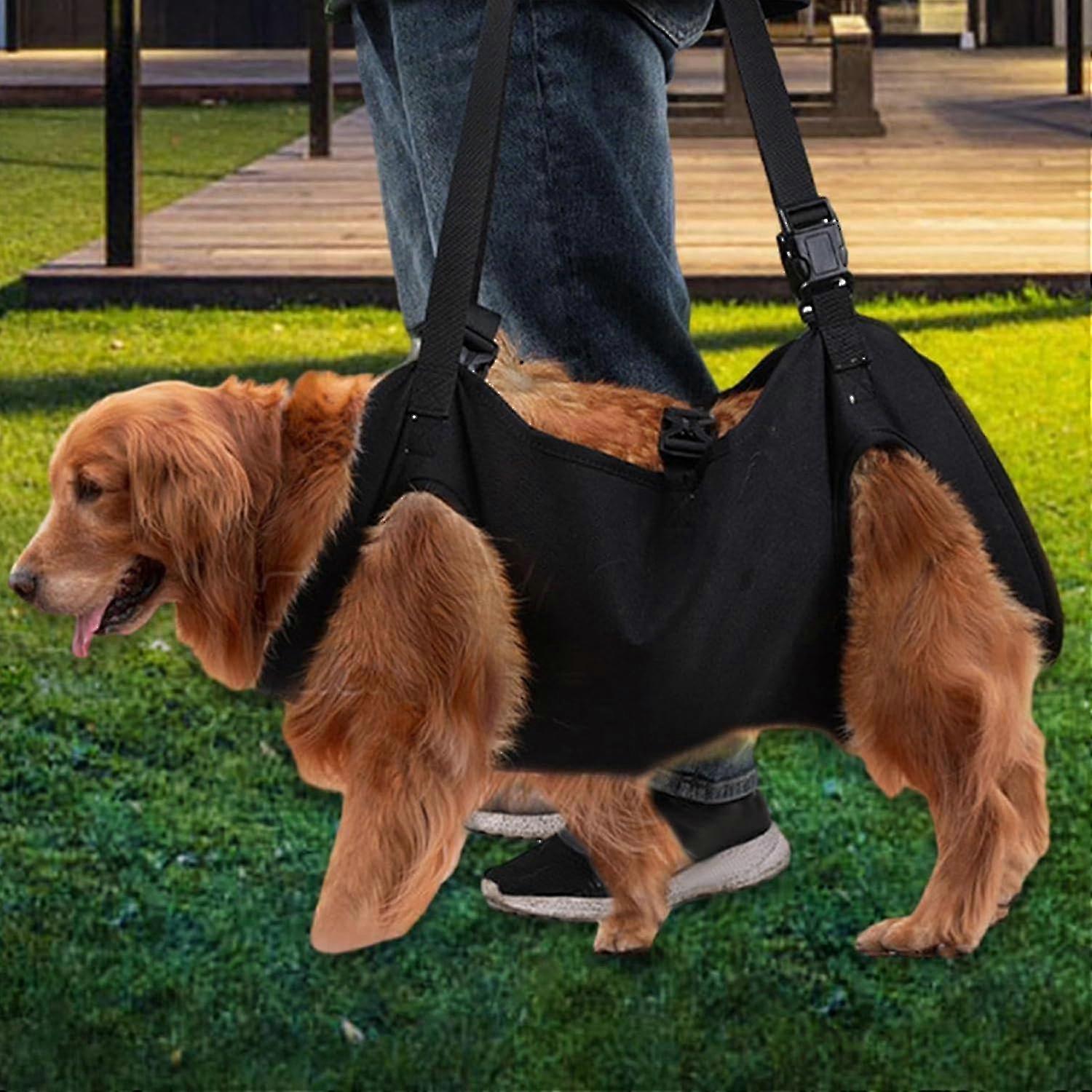 Dog Lift Harness, Adjustable Pet Walking Mobility Aid With Handles And ...