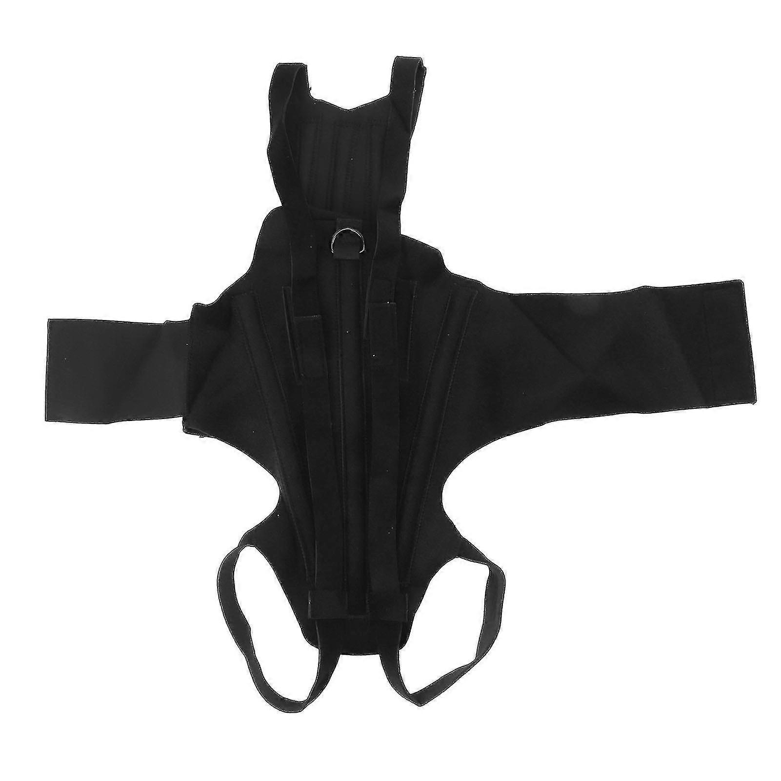 Dog Back Bracer Spinal Surgery Recovery Herniated Disc Slipped Disc Pet ...