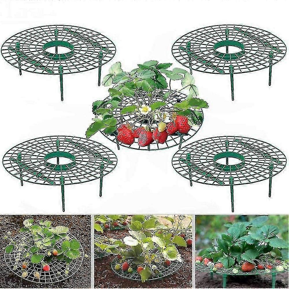5 Packs Strawberry Supports Strawberry Plant Support Strawberry Growing ...