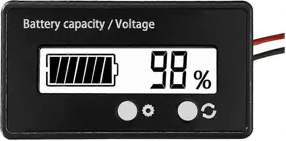 Battery Meter, 12V 24V 36V 48V Battery Capacity Indicator with Alarm ...