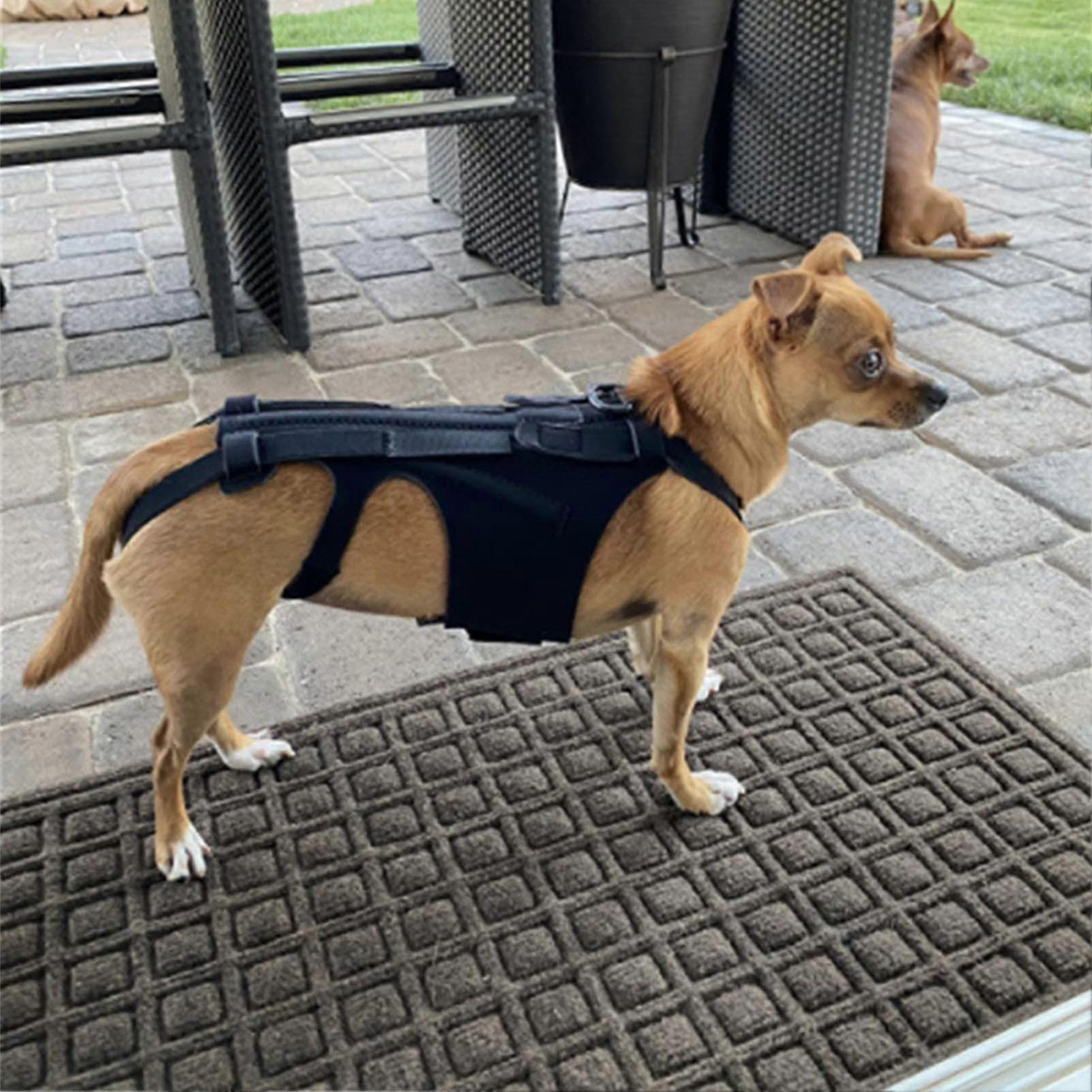 Dog Back Bracer Spinal Surgery Recovery Herniated Disc Slipped Disc Pet ...