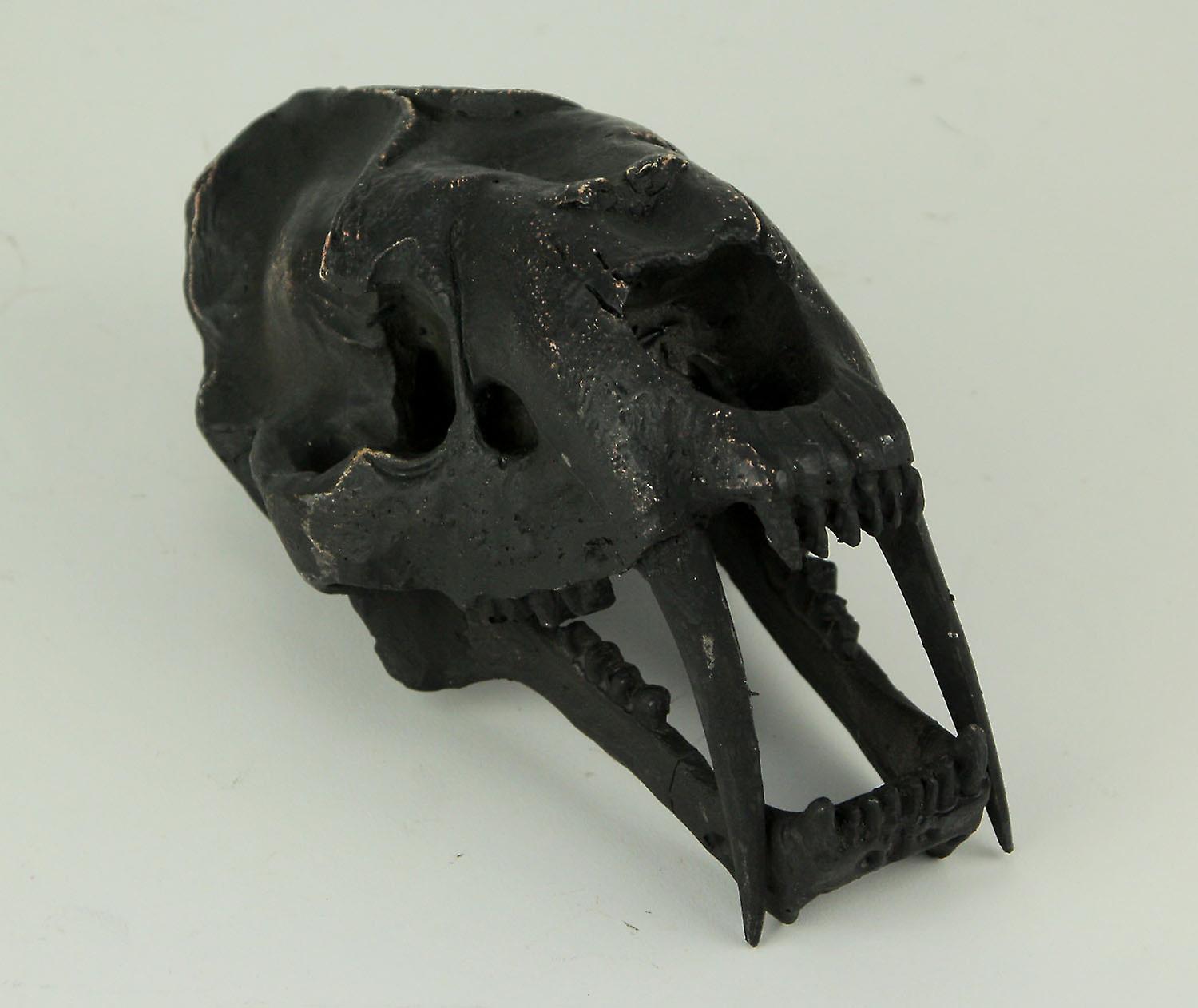 Black Saber Toothed Cat Skull Statue Smilodon | Fruugo IE