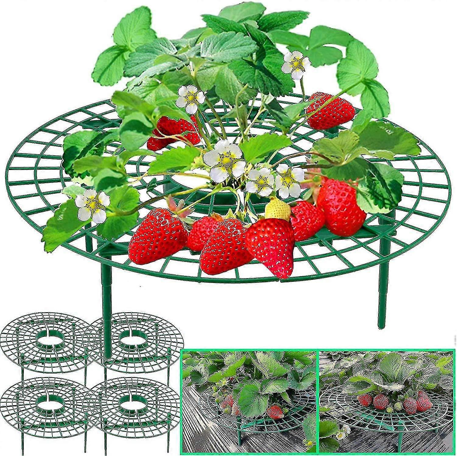 5 Packs Strawberry Supports Strawberry Plant Support Strawberry Growing ...