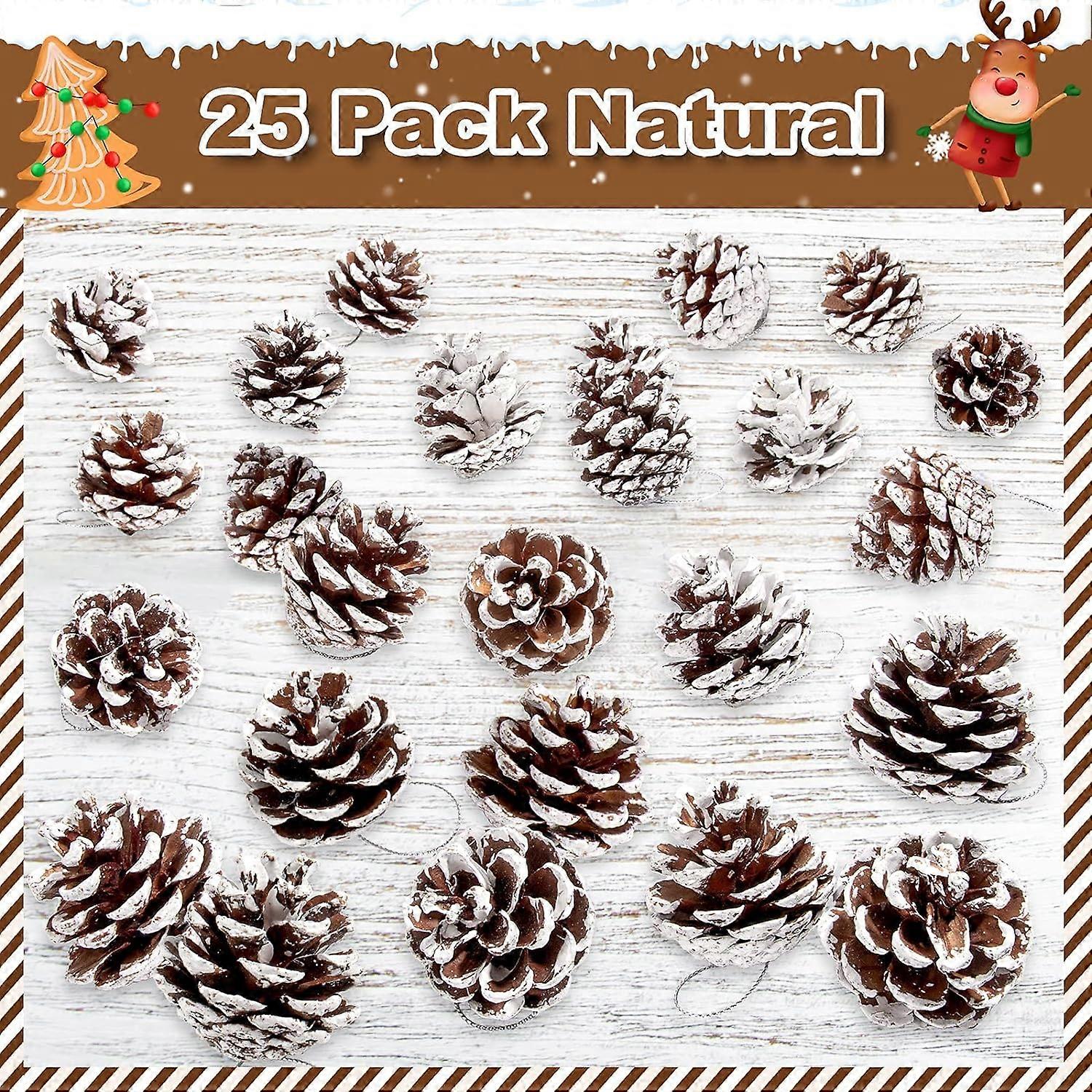 25 PCS Christmas Natural Pine Cones Cedar Cones String Pine Cone ...