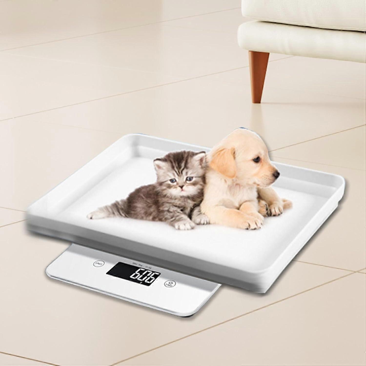 Animal Weight Measurement, Pet Weight Scale, Veterinary Pet Scale ...