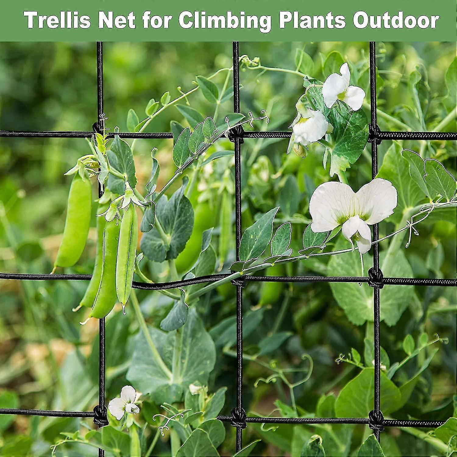 Trellis Net For Climbing Plants, Elastic Trellis Netting, Heavy-duty ...
