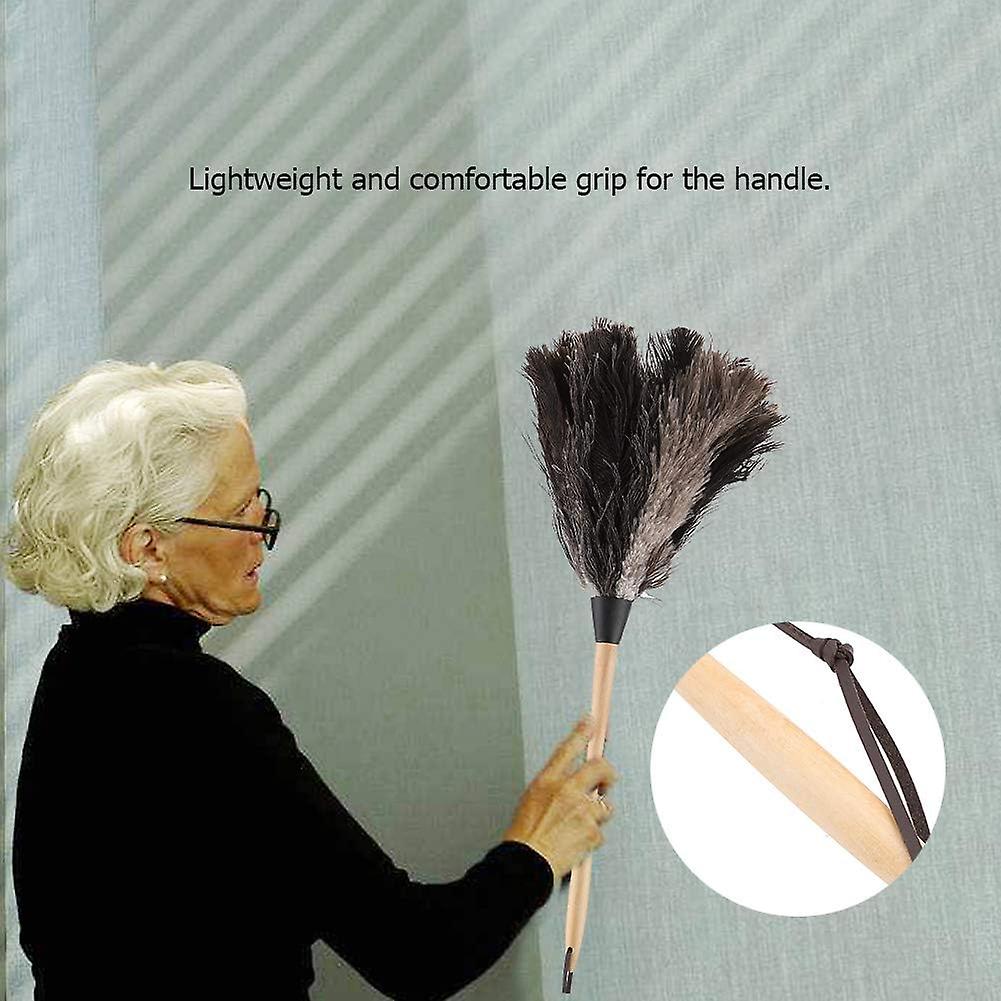 Ostrich Hair Duster, Super Soft Hand Washable Non-static Ostrich ...