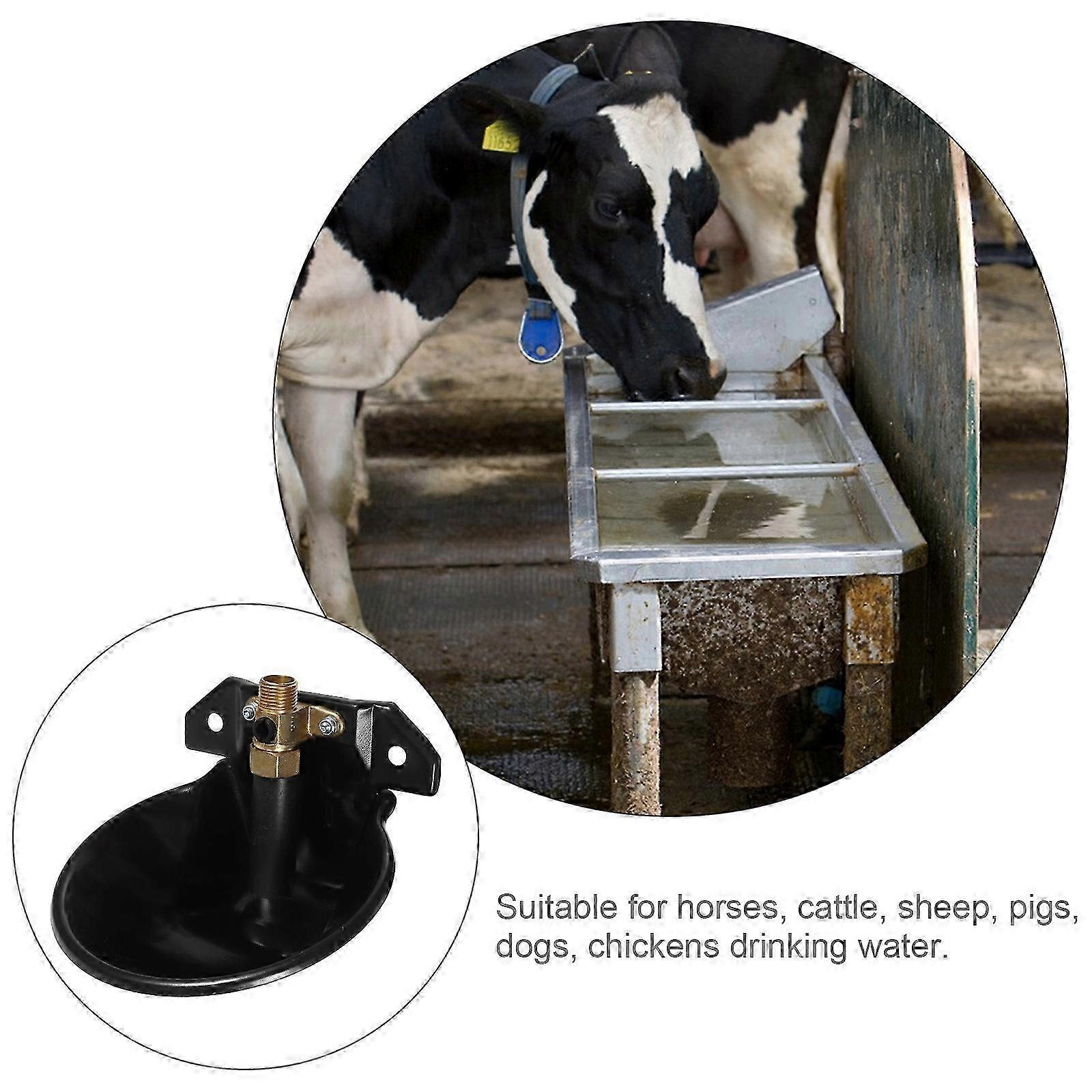 Automatic Water Dispenser Sheep Cow Water Feeder Bowl Livestock Water ...