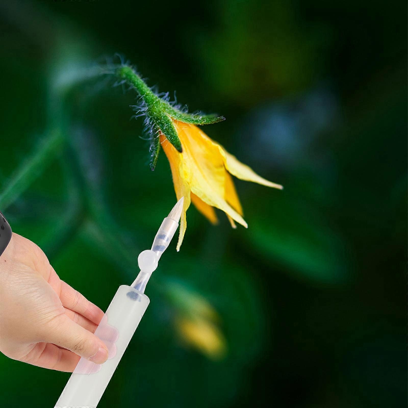 Vegetable Pollinator Tool Tomato Pollinator Fruit Pollinator Garden ...