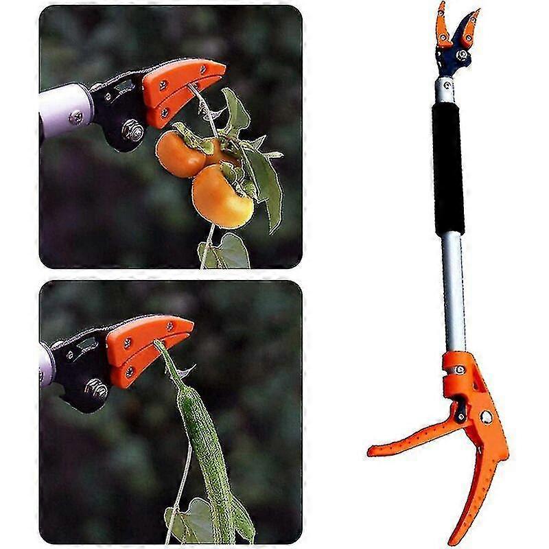 Long Handled Pruning Shears Telescopic Pruning Shears, Long Reach Tree ...