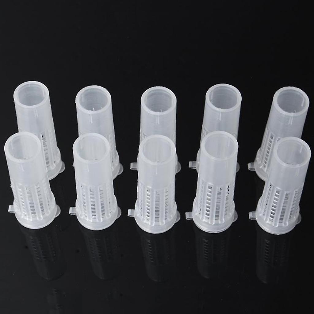 Complete Queen Rearing Kit Cell Cups Holder Queen Bee Cage Beekeeping ...