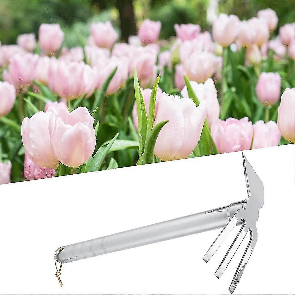 Gardening Rakes Shovel,digging Hoe Garden Tools 2 In 1 Hoe And Rake ...