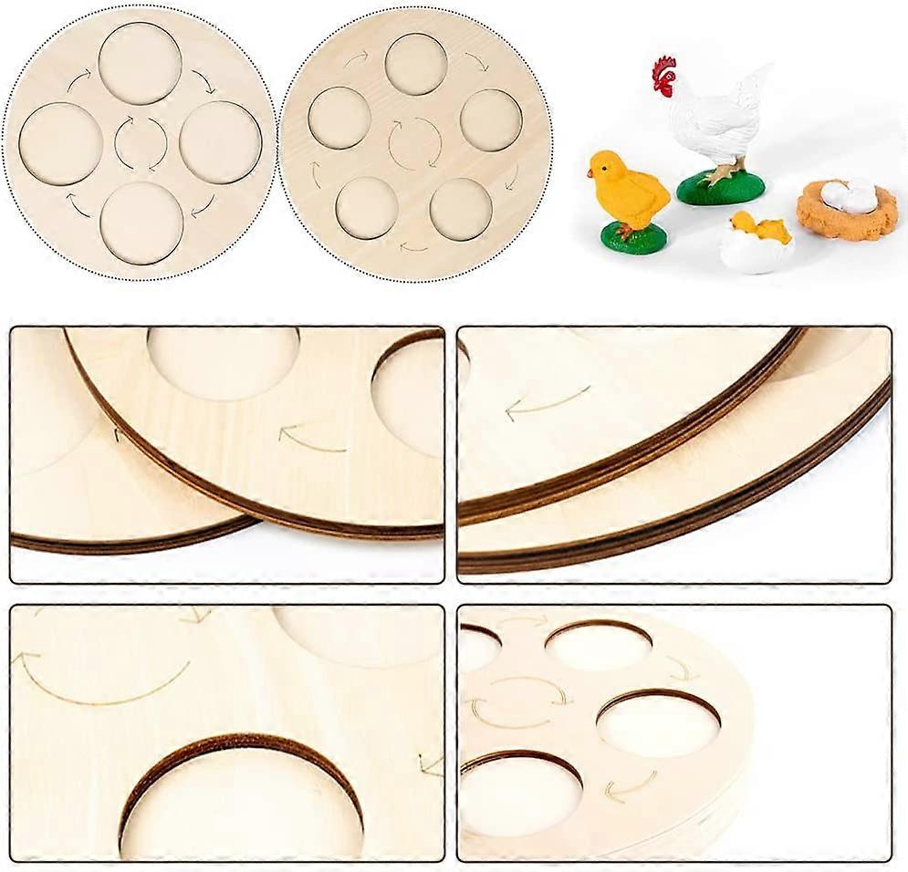 Life Cycle Board,Plant Wooden Life Cycle Tray Life Cycle Models Tray ...