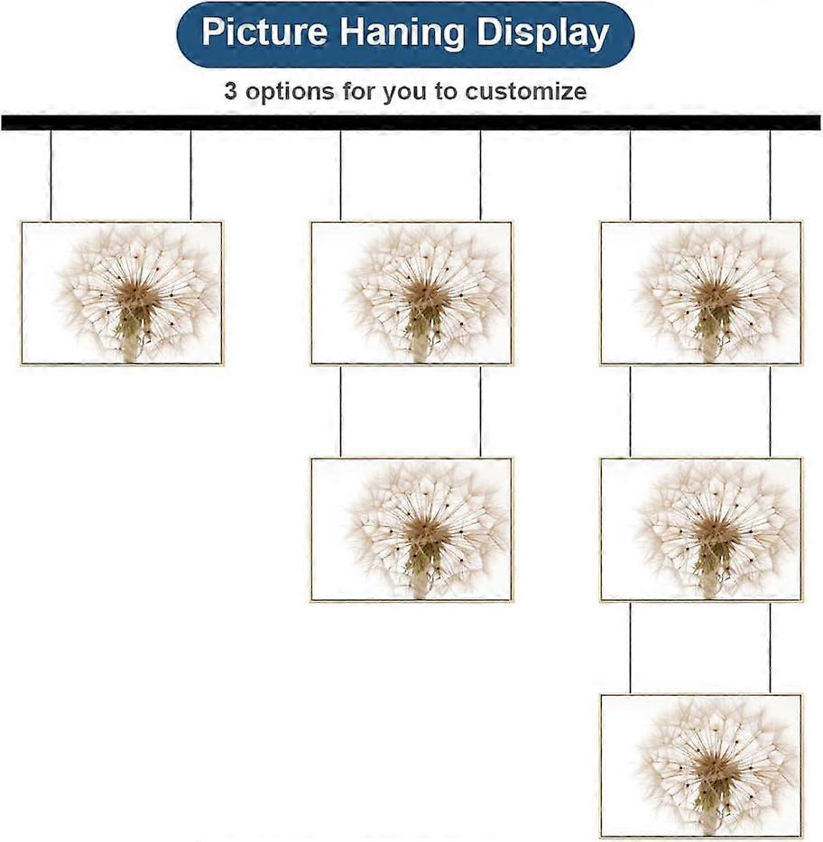 Picture Rail Hooks and Wire, 4.9 Feet Adjustable Picture Hanging ...