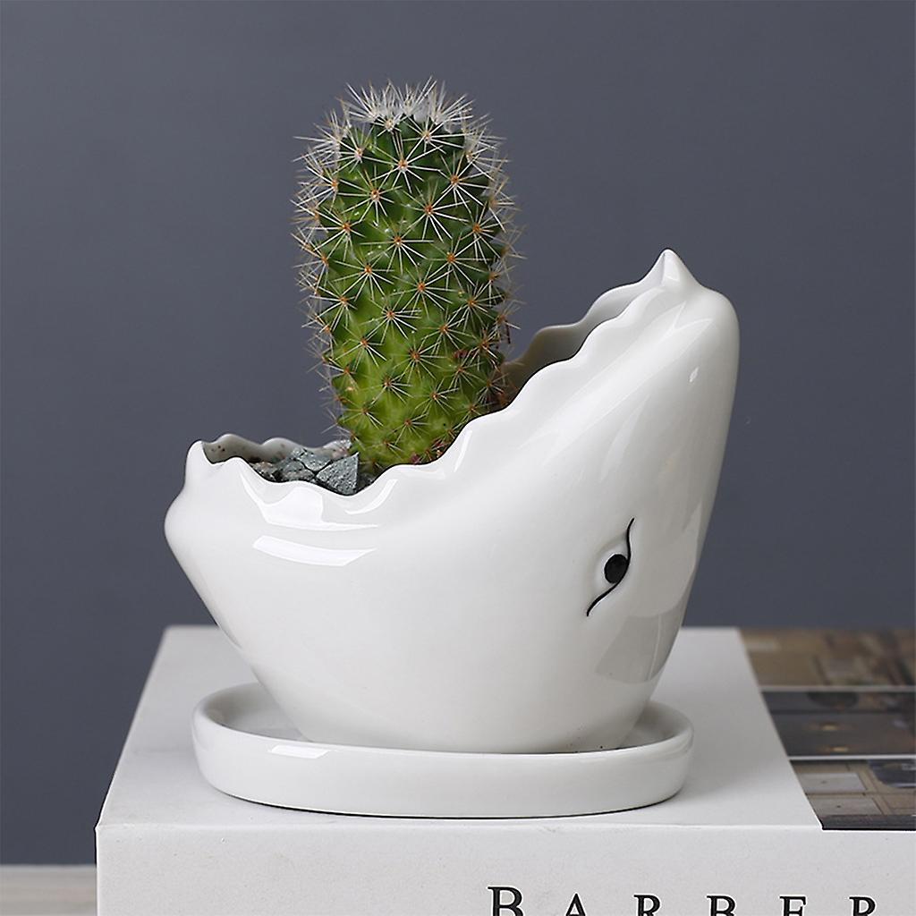 Shark Succulent Planter Pot with Drainage Tray Ceramic Cactus Flower ...