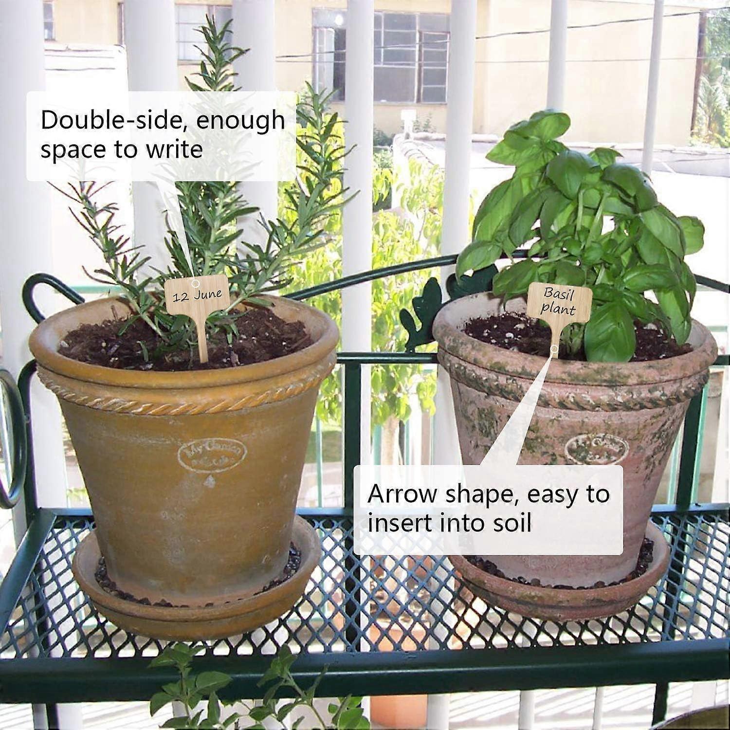 50 pieces of bamboo plant labels, T-shaped wooden plant labels, seed ...