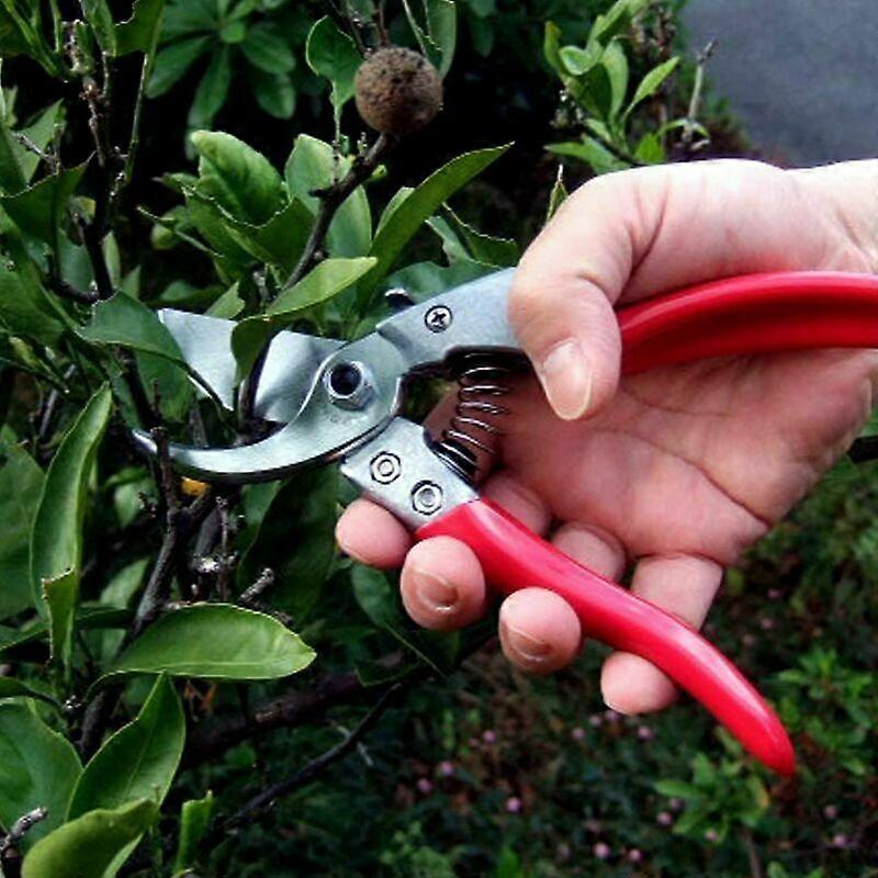 Pruning Shears, Precision Cutter, Professional Gardening Model, High ...