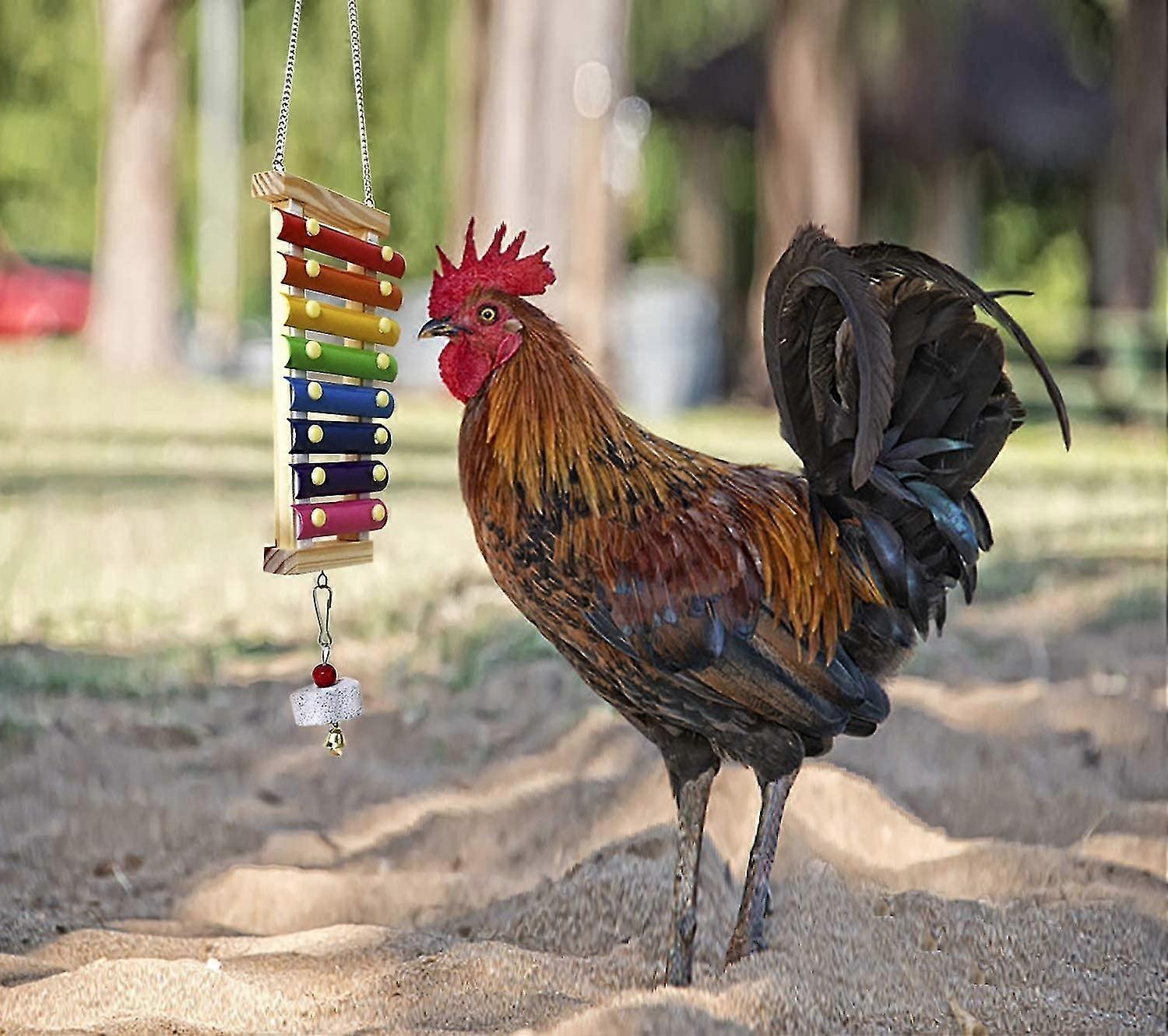 Chicken Xylophone Toy For Hens Suspensible Wood Xylophone Toy With 8 ...