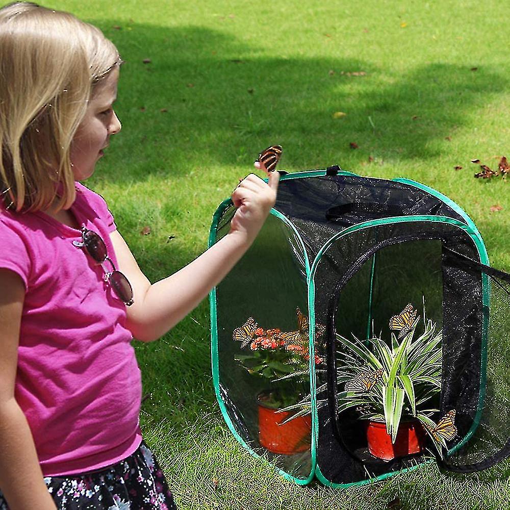 Tall Large Butterfly Habitat Cage Collapsible Terrarium Pop-up , Insect ...