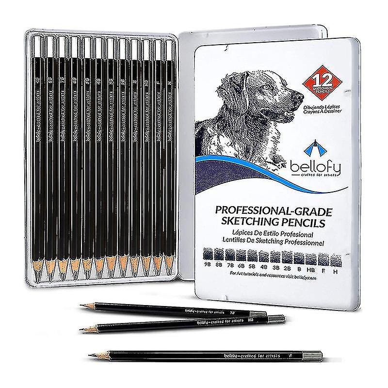 Professional Drawing Sketching Pencil Set, 20 Pieces Art Pencils ...