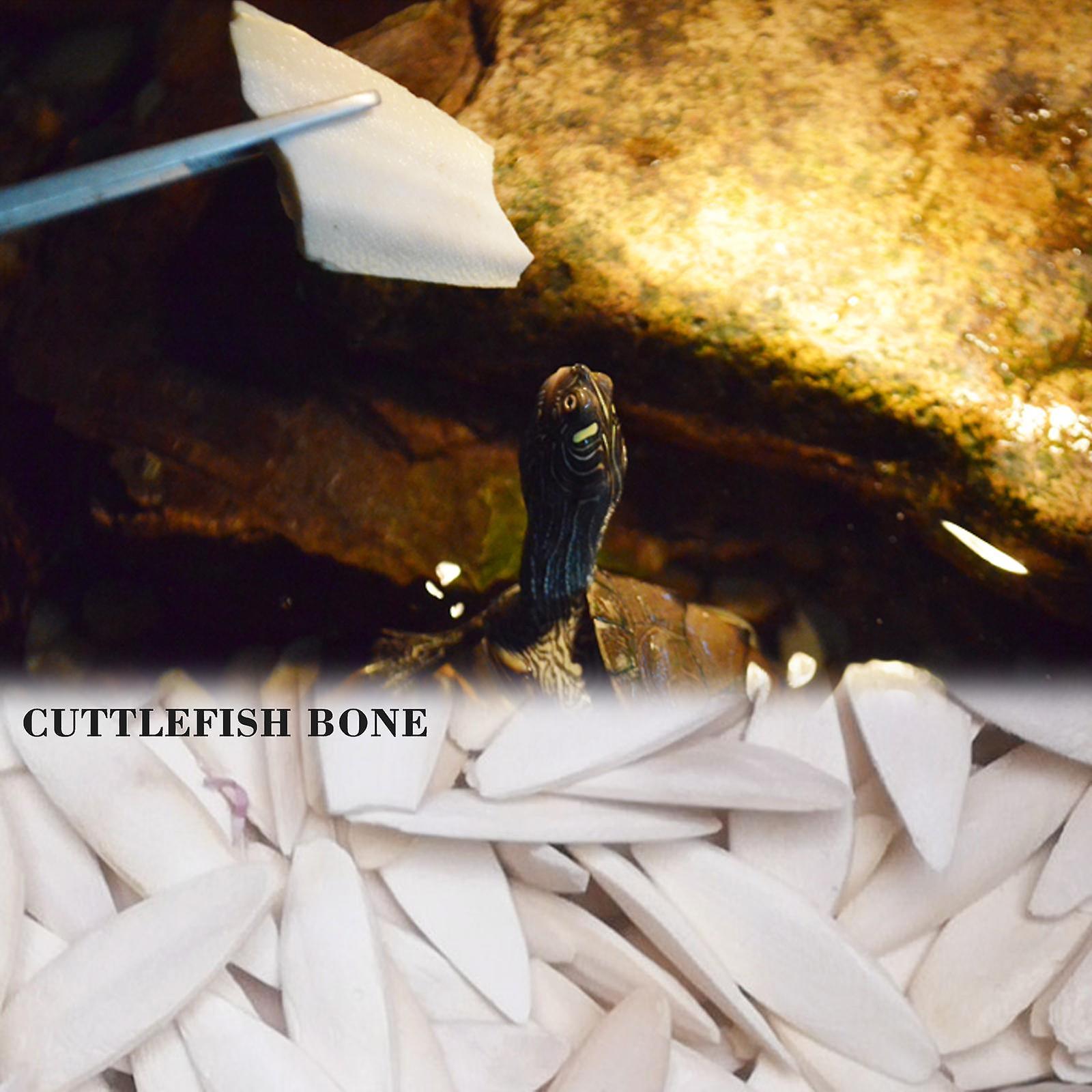 1 bag Cuttlebone Cuttlefish Bone Sepia Cuttle Fish Calcium Pickstone ...