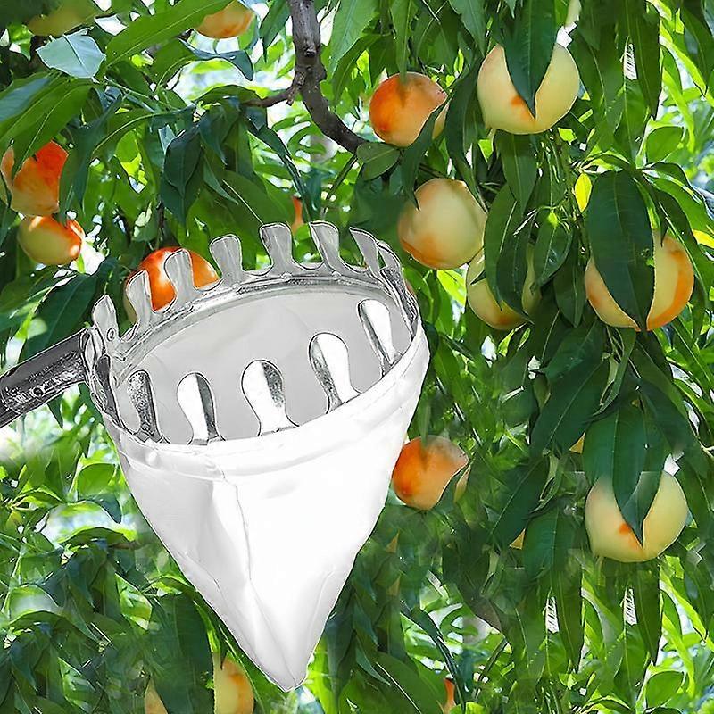 Fruit Picker Fruit Picker With Telescopic Handle Portable Fruit Picker ...