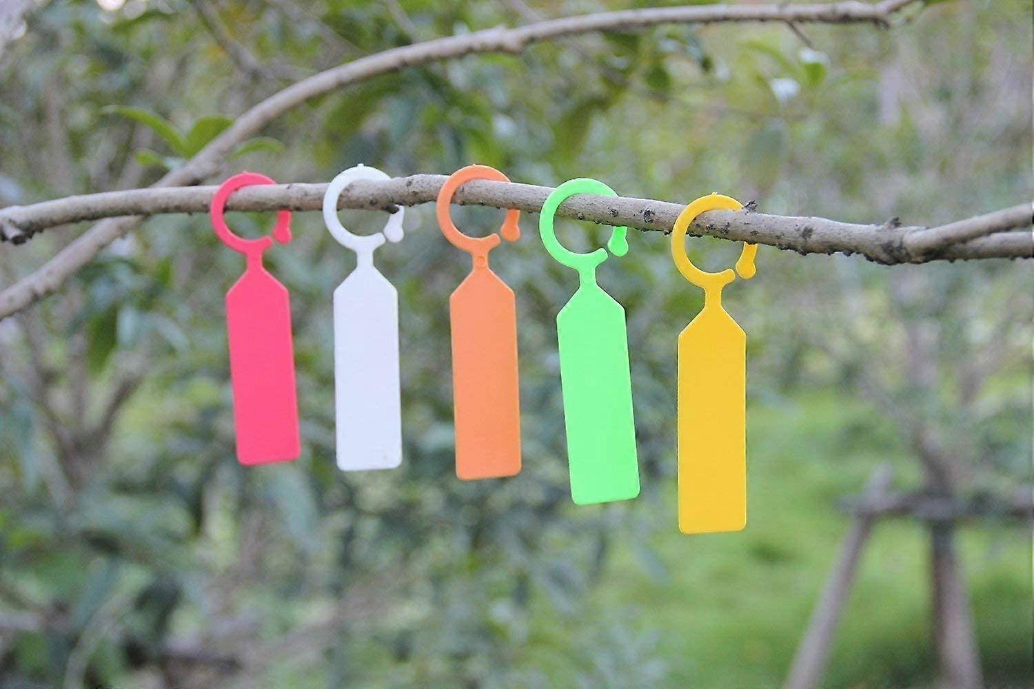 300 Pcs Plastic Tree Labels Plant Hanging Tags Plastic Garden Markers ...