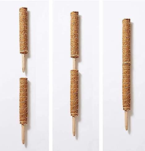 2 Pieces 40cm Coconut Stick, for Plant Planting Plant Name Support ...