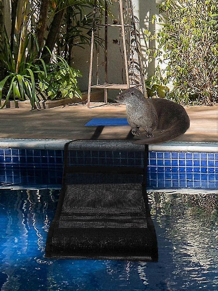 Animal Saving Escape Ramp For Pools Hot Spring And Spas,swimming Pool ...