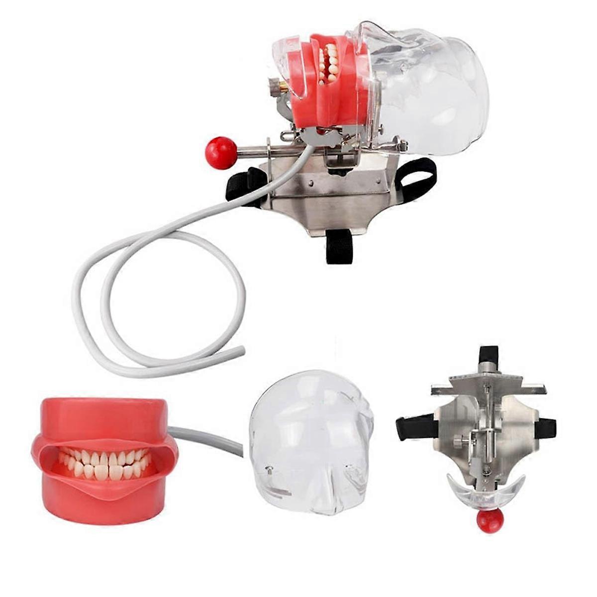 Dental Simulator Mannequin-, Dental Teaching- Model Fix on Chair with ...