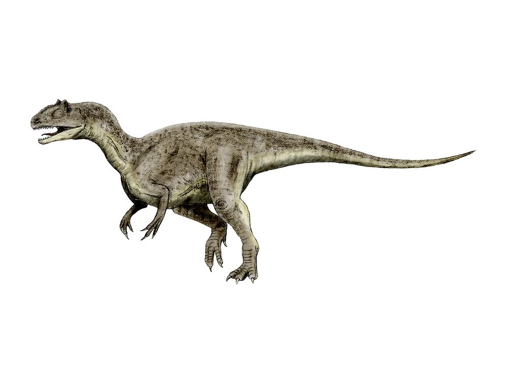 Allosaurus dinosaur. Poster | Fruugo DK