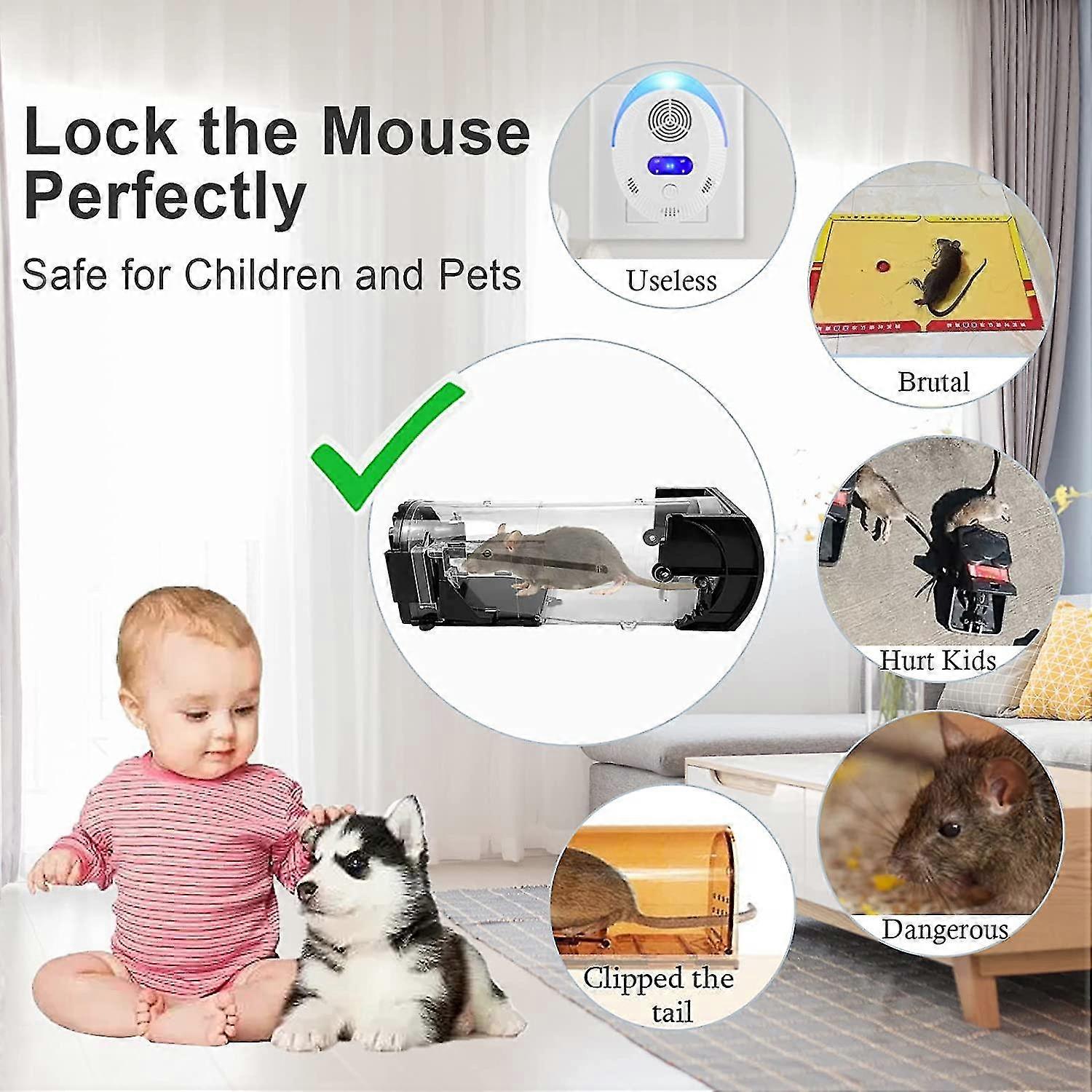 Indoor Mouse Traps, Mouse Traps That Don't Kill Mice Right Away, Rodent ...