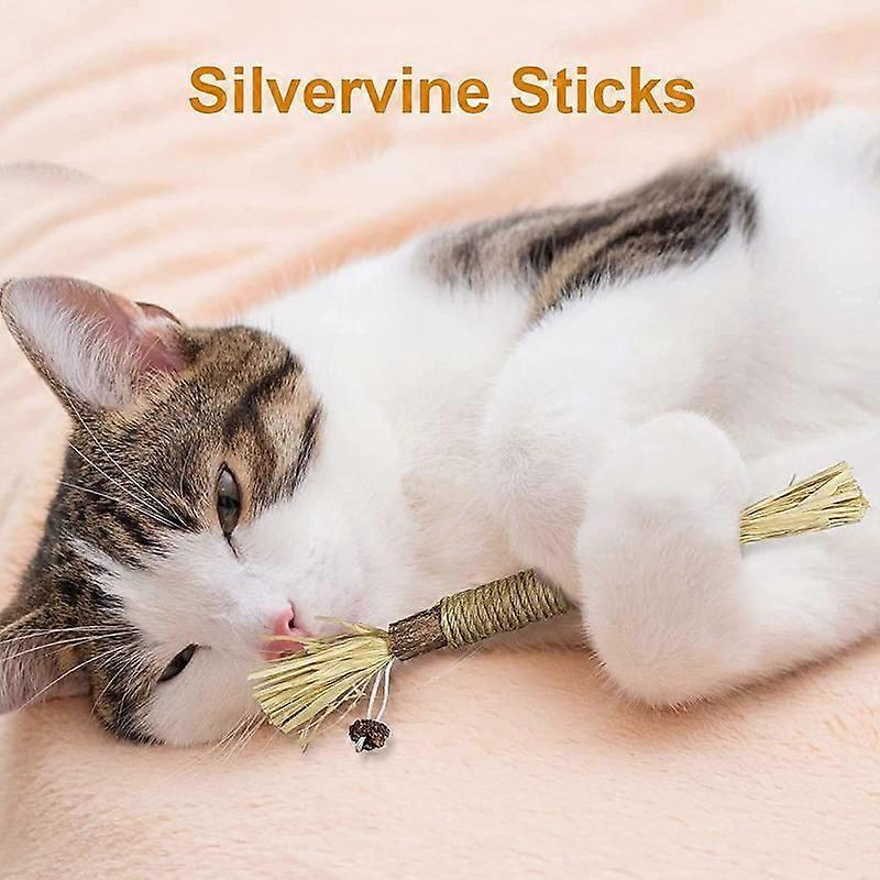 Cat Toy Silvervine Chew Matatabi Stick Cats Treat Catnip Pet Toys For Cats Natural Stuff With ...