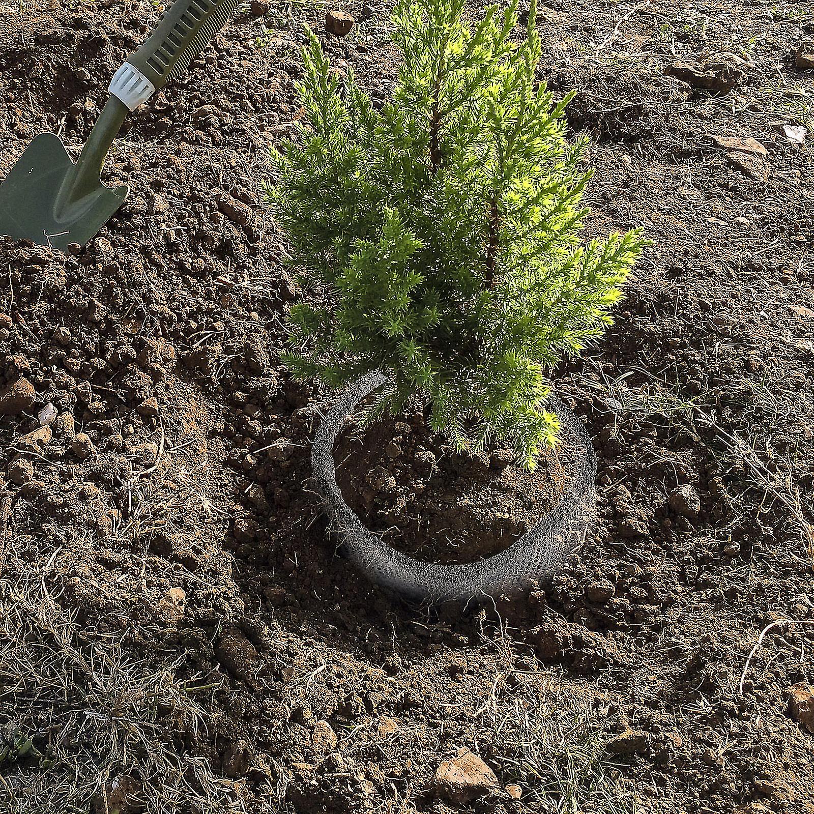4 Pack Root Stainless Steel Guard Baskets For Plants- Heavy Duty Gopher ...