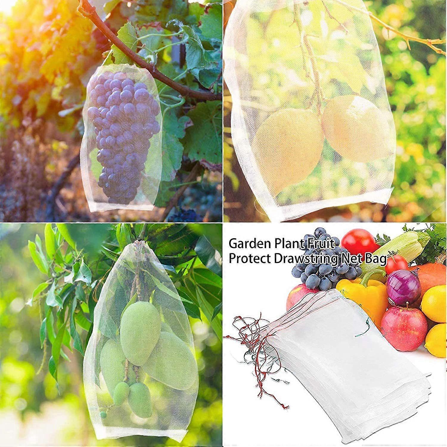 Fruit protection bag grape insect-proof net greenhouse vegetable insect ...
