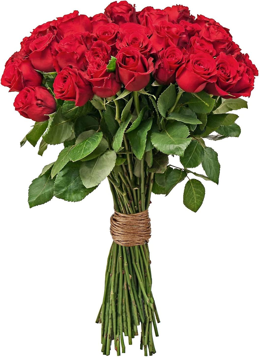 Floral Wire Vine Wire Bind Wire Rustic Wire Wrapping Wire for Flower ...