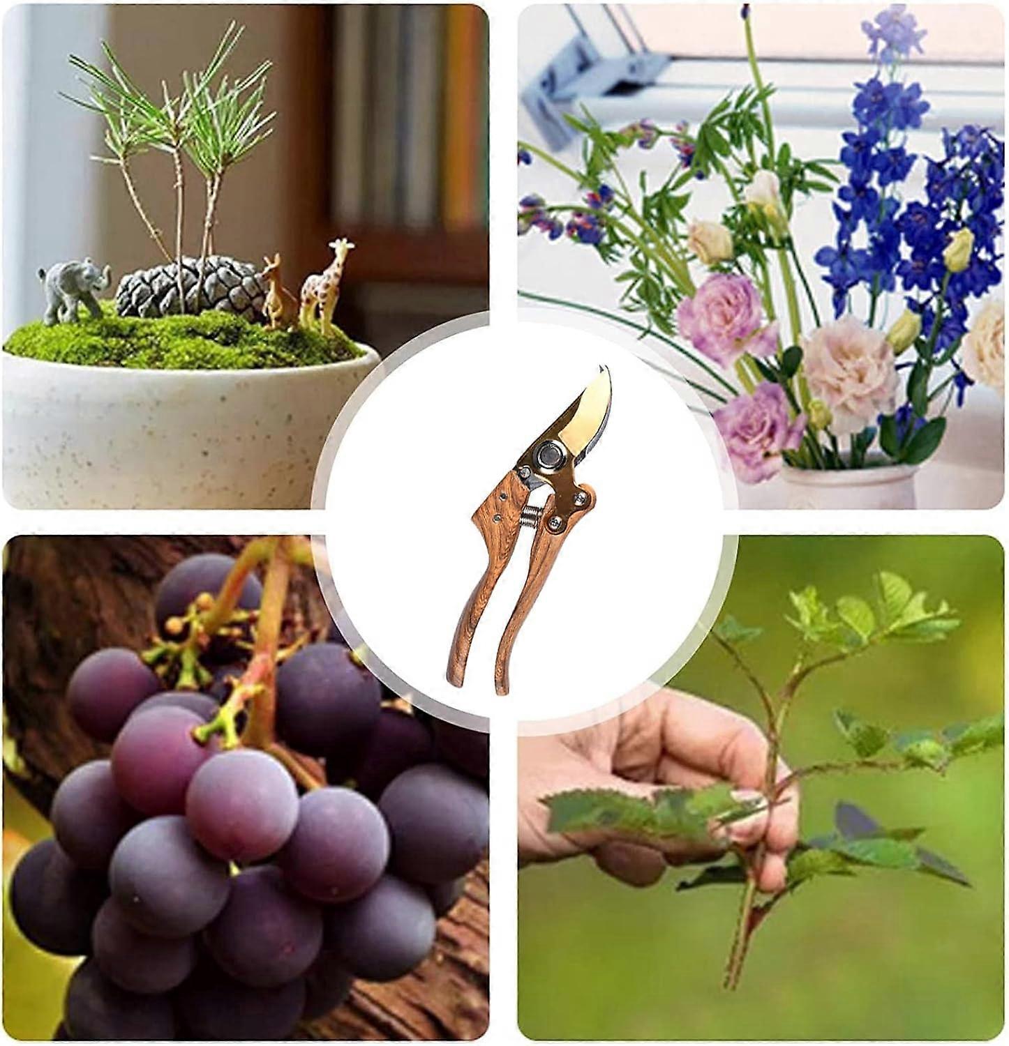 Garden scissors, 215 mm SK5 steel plant scissors, top-quality pruning ...